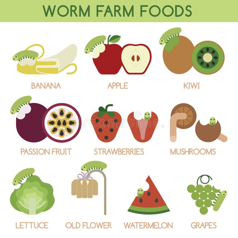 Worm farm foods stock vector. Illustration of health - 48214970
