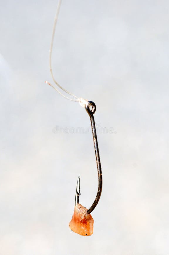 Worm on Fish Hook stock image. Image of insect, fishing - 5639503