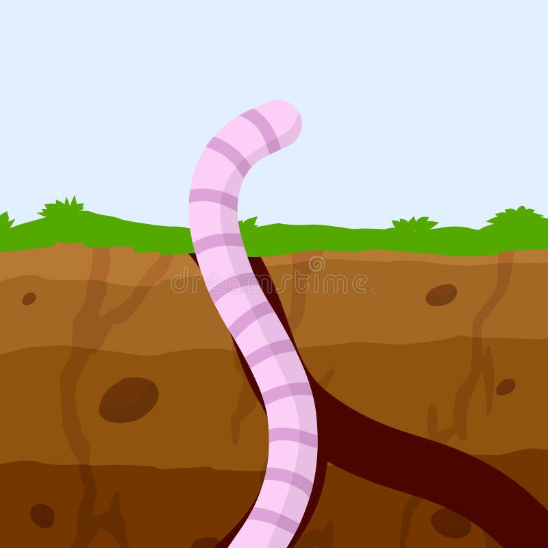 Worm in Ground. Spring Concept. Burrows and Passages. Nature and Insect ...