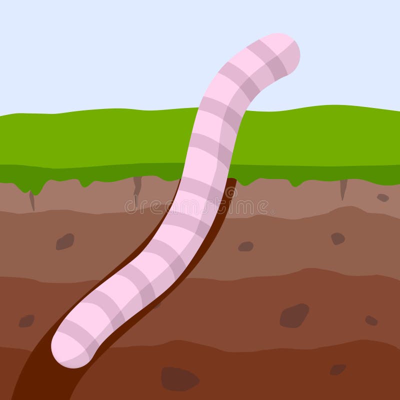 Worm in Ground. Spring Concept. Burrows and Passages. Nature and Insect ...