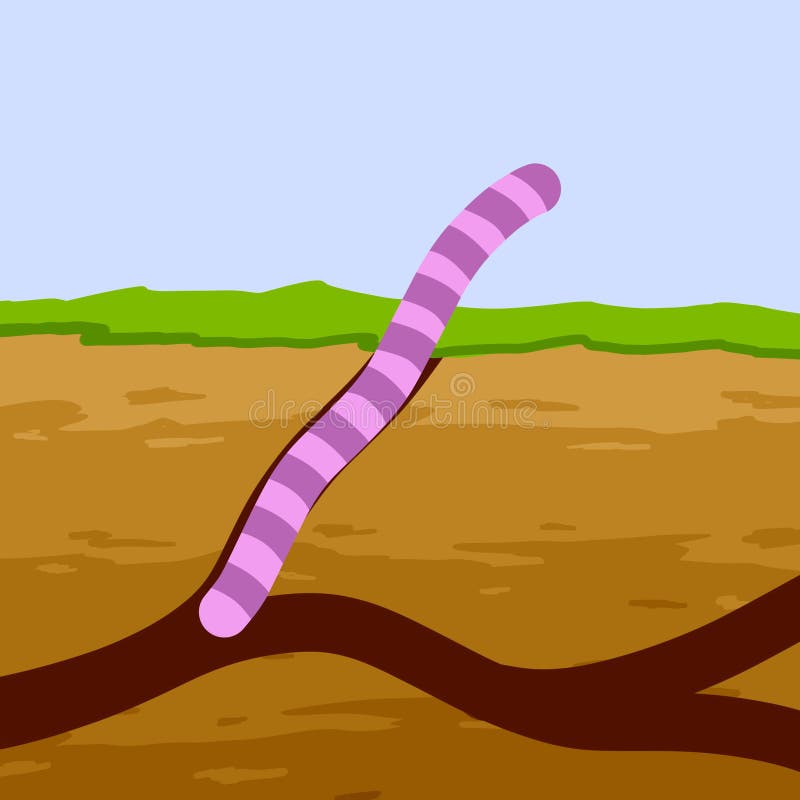 Worm in Ground. Spring Concept. Burrows and Passages Stock Vector ...