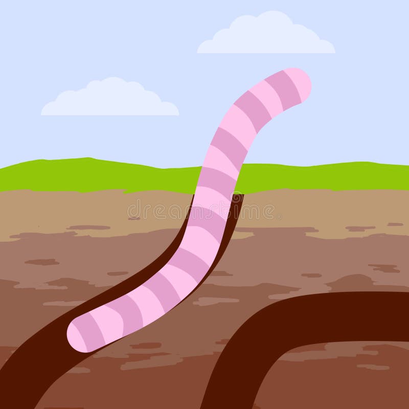 Worm in Ground. Spring Concept. Burrows and Passages Stock Vector ...