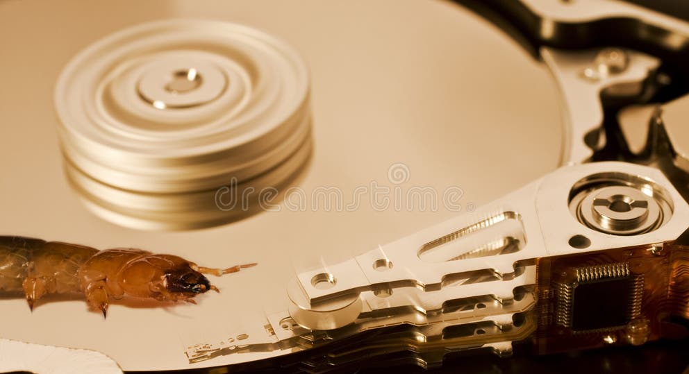 Worm on hard disk stock image. Image of worm, backup - 22251149