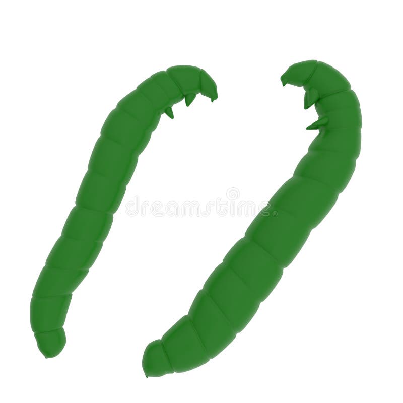Worm Segments Stock Illustrations – 146 Worm Segments Stock ...