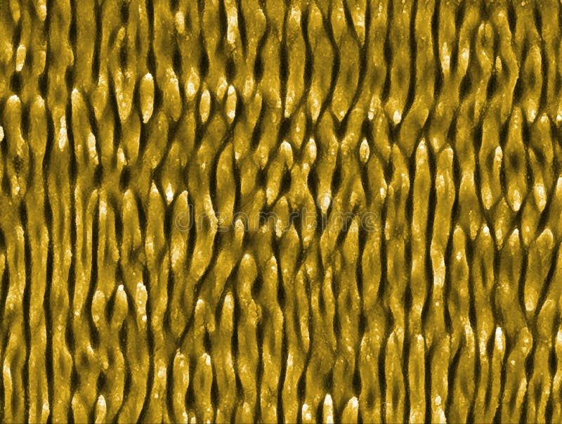 Scanning Electron Microscope View Stock Photos - Free & Royalty-Free ...