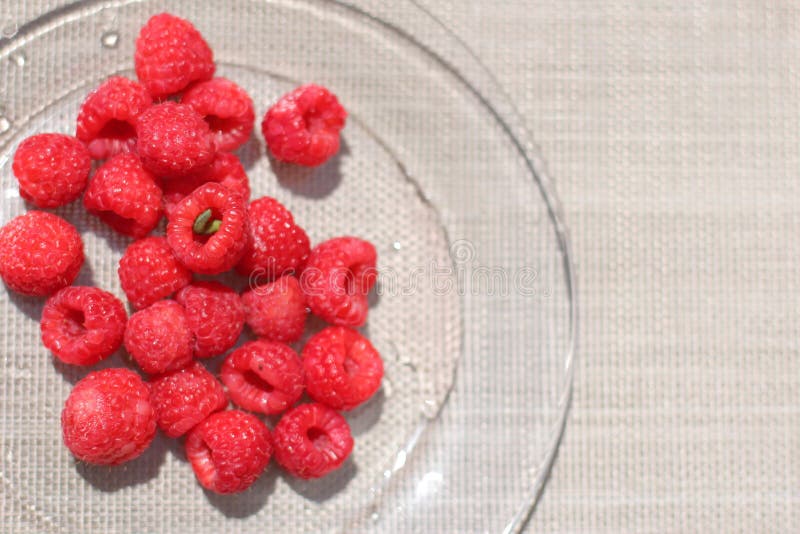 Raspberry with Little Worm Inside Stock Image - Image of berry ...