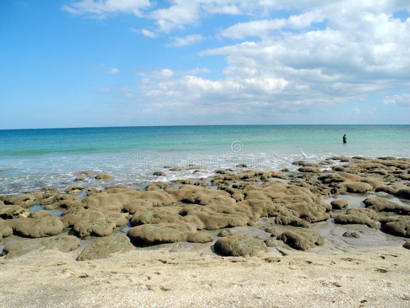 A Worm Reef Beach stock photo. Image of fisherman, worm - 38303028