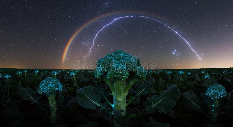 Worm S Eye View of Glowing Broccoli Clusters Under a Night Sky with a ...