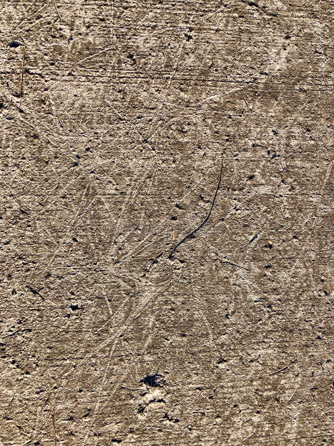 Worm Trails on a Sidewalk stock photo. Image of sidewalk - 155853888