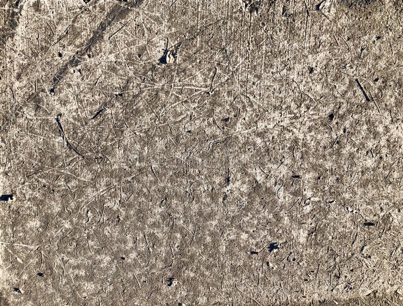 Worm Trails on a Sidewalk stock photo. Image of architecture - 155853934