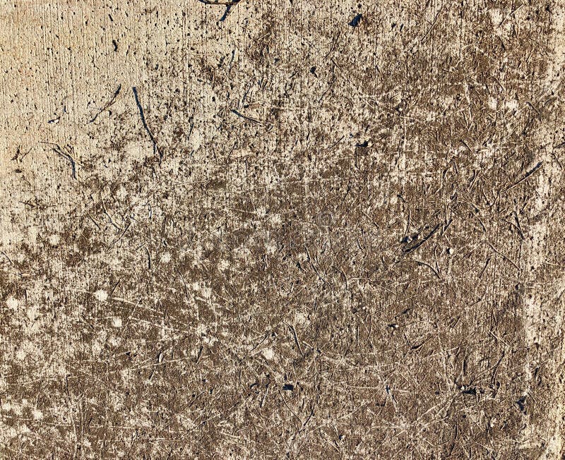 Worm Trails on a Sidewalk stock photo. Image of sidewalk - 155853888