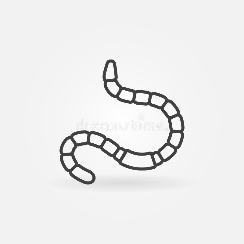 Worm Vector Concept Line Icon - Earthworm Linear Symbol Stock Vector ...