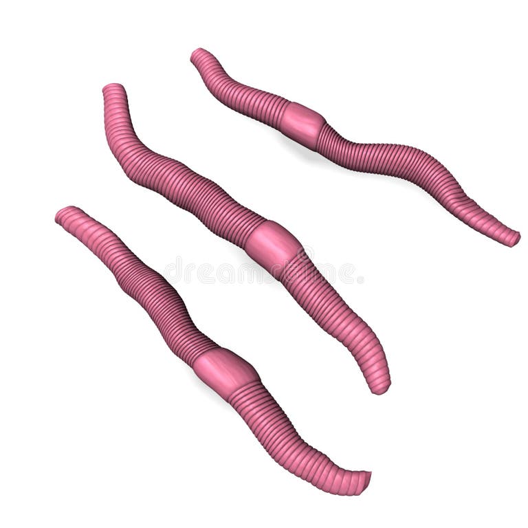 Pink Worms Stock Illustrations – 579 Pink Worms Stock Illustrations ...