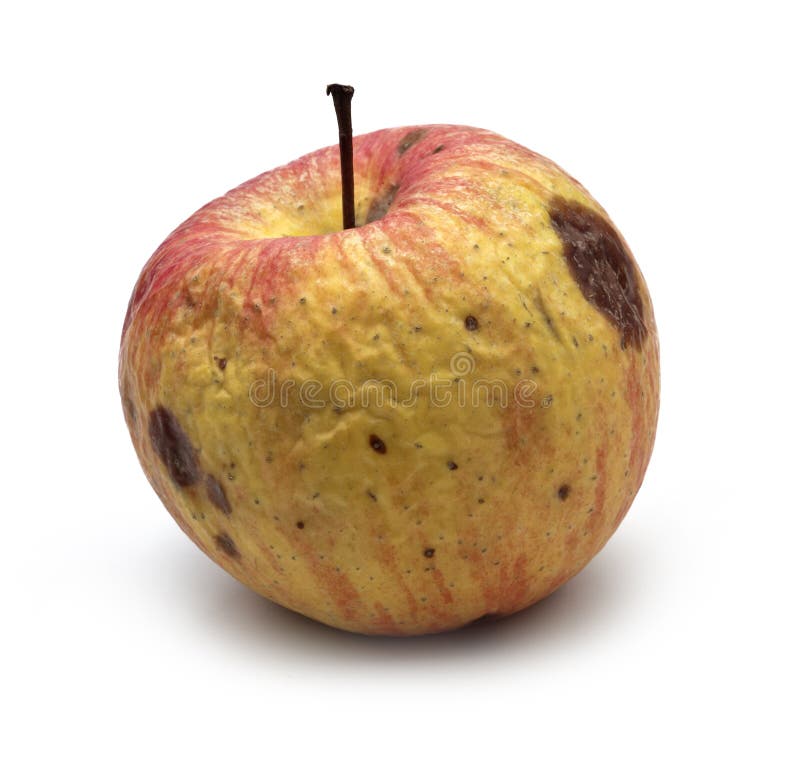Wormy apple stock image. Image of worm, infestation, disgusting - 968175