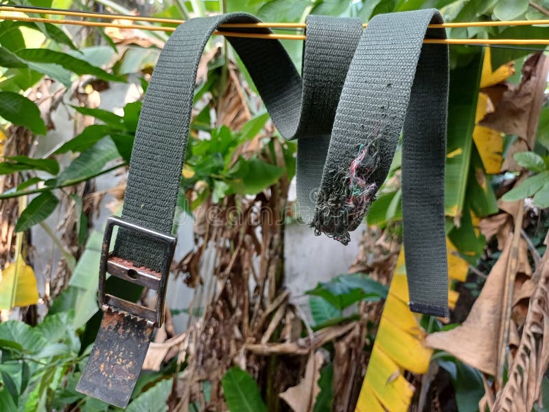 The Worn Belt is Dried in the Sun Using the Rope in a Rolled Position ...