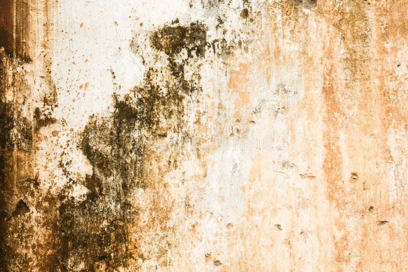 Worn messy textured wall stock photo. Image of grungy - 33646110
