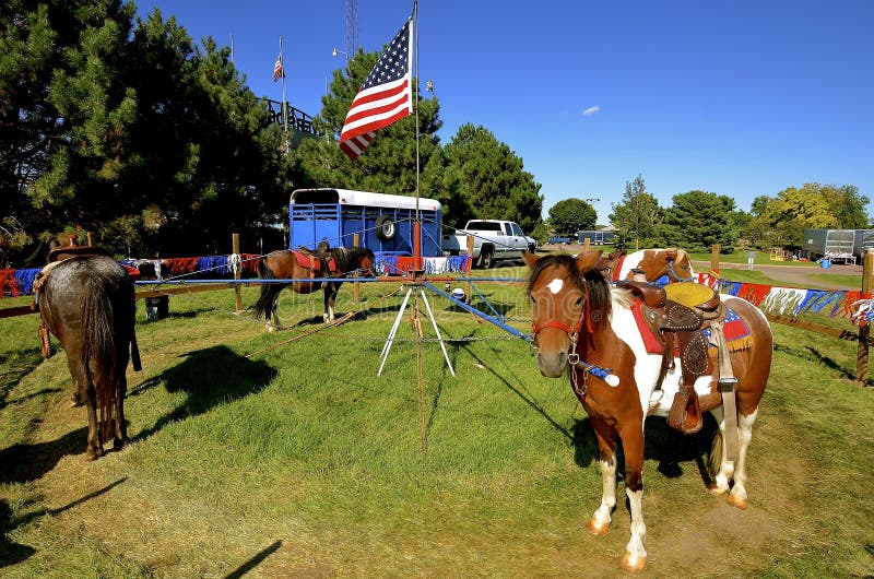 Worn path from pony rides stock photo. Image of pony - 84251934