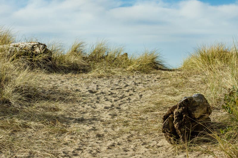 Worn Path in the Sand Over the Dune Stock Photo - Image of ocean, coast ...
