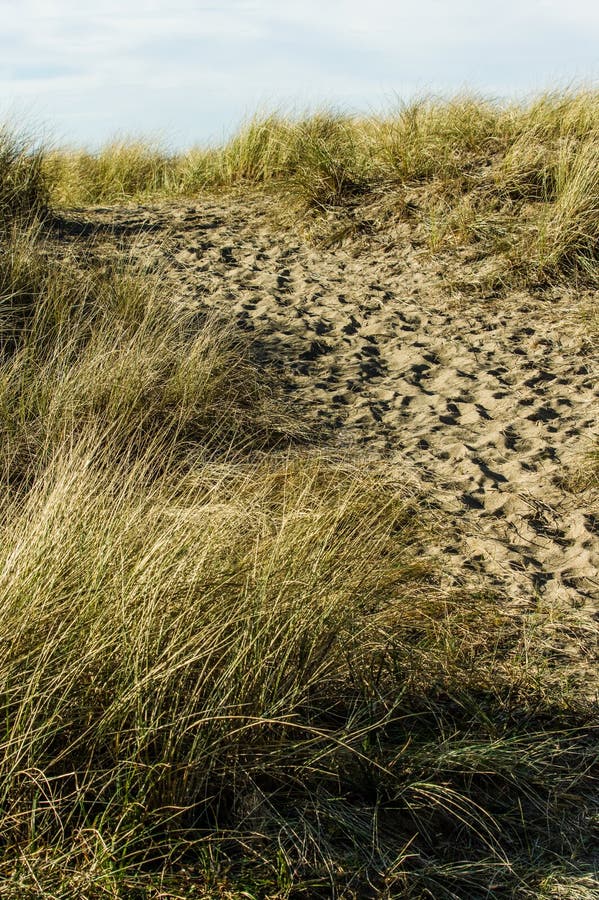 The less worn path stock image. Image of travel, worn - 153164823