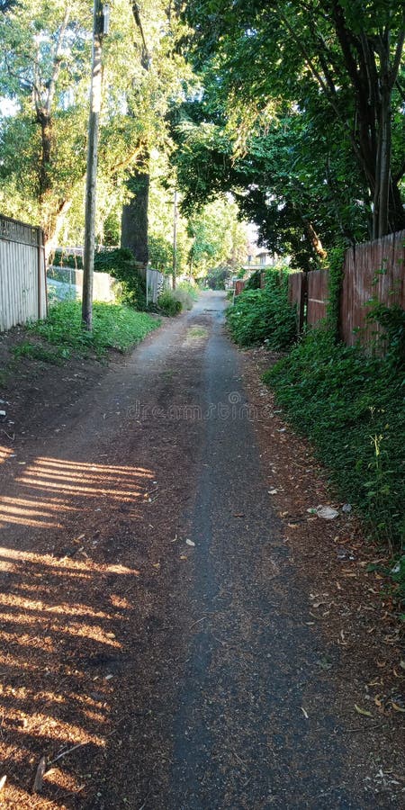 The less worn path stock image. Image of travel, worn - 153164823