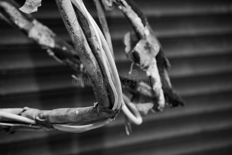 Worn Wires on Black and White Background is Close Stock Photo - Image ...