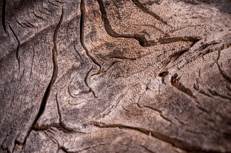 Worn Wood on Rustic Fence Post Stock Image - Image of simplicity, lands ...