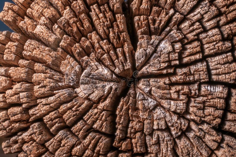 Worn Wood on Rustic Fence Post Stock Image - Image of farm, background ...
