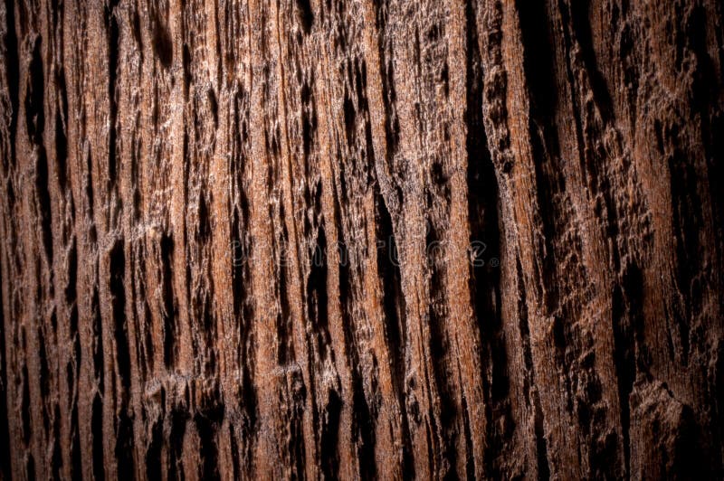 Worn Wood on Rustic Fence Post Stock Image - Image of agriculture ...