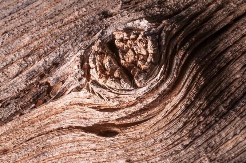 Worn Wood on Rustic Fence Post Stock Image - Image of grasslands ...