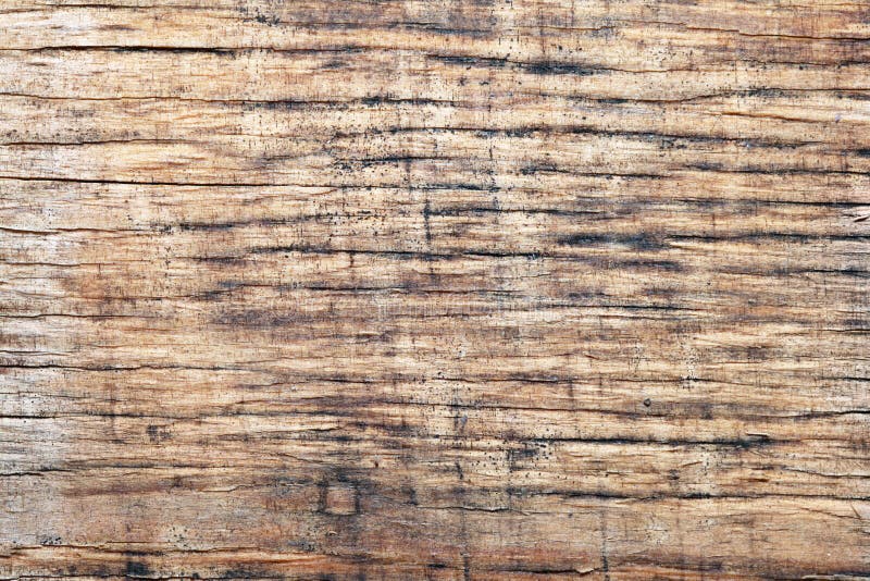 Old Worn Out Wooden Planks Background Stock Image - Image of wooden ...