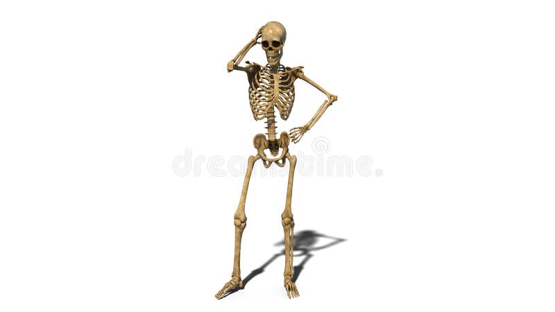 Thinking skeleton stock illustration. Illustration of body - 9166159