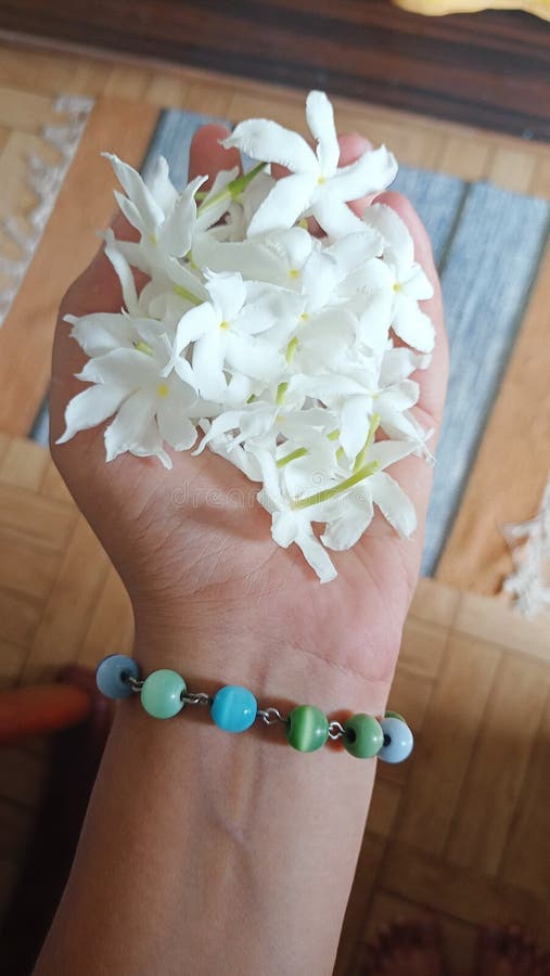 Worship flowers plunk stock photo. Image of flowers - 276182206