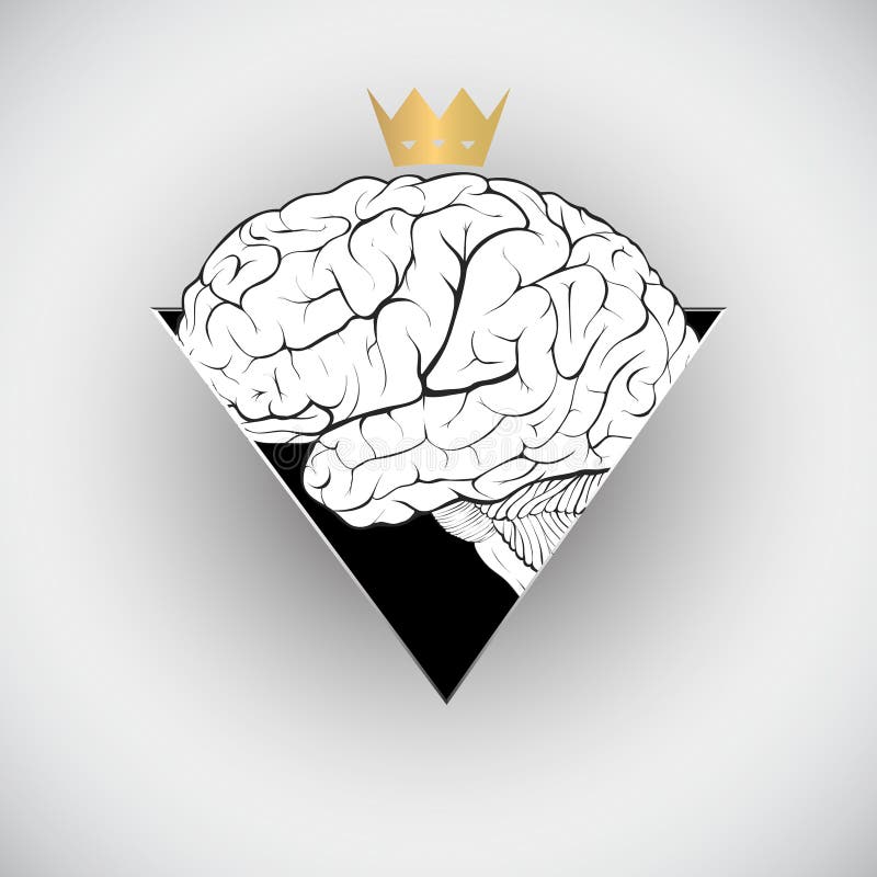 Human brain with a crown stock vector. Illustration of gyrus - 373372164