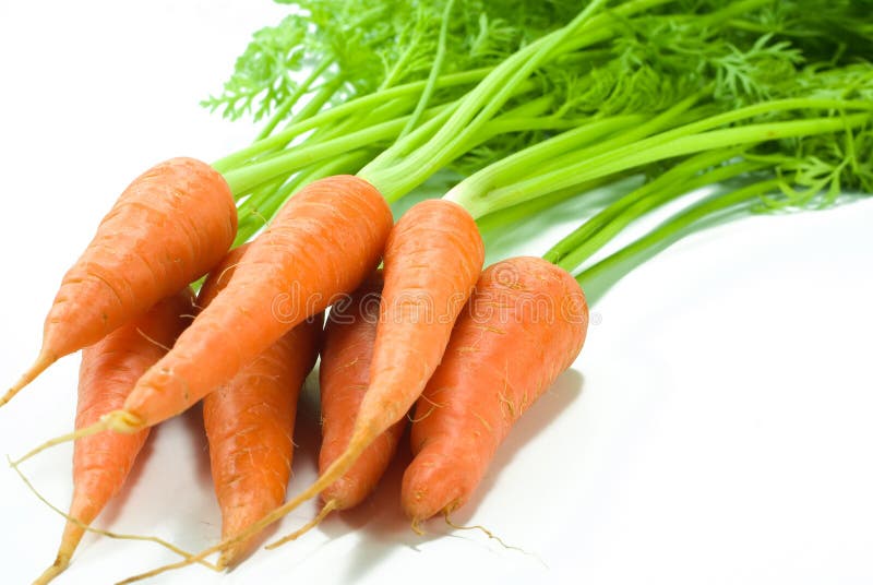 Wortel stock foto. Image of eten, gastronomisch, groen - 3807802