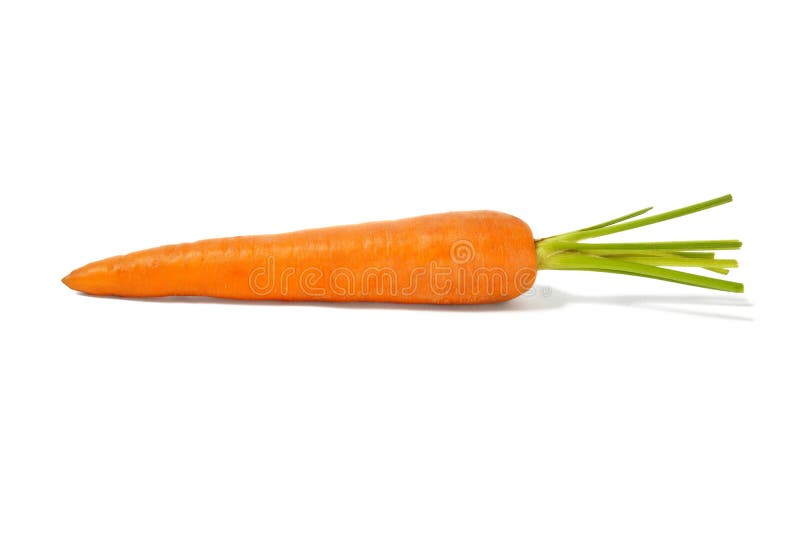 Wortel stock afbeelding. Image of vegetariër, plantaardig - 55761889