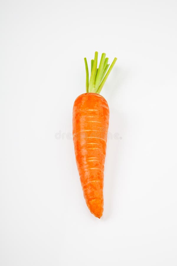 Wortel stock foto. Image of groen, voedsel, vitaminen - 64438332