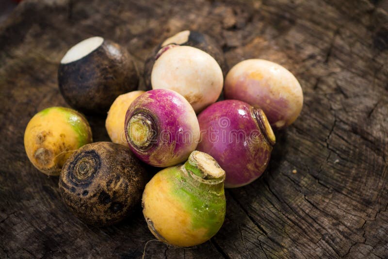 Wortel-knol groenten stock afbeelding. Image of achtergrond - 53426633