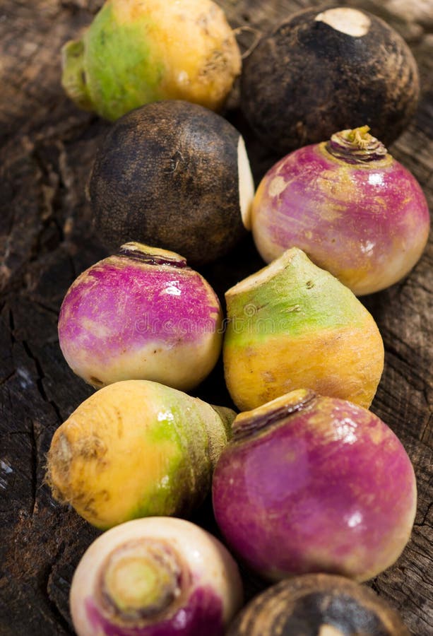 Wortel-knol groenten stock afbeelding. Image of achtergrond - 53426633