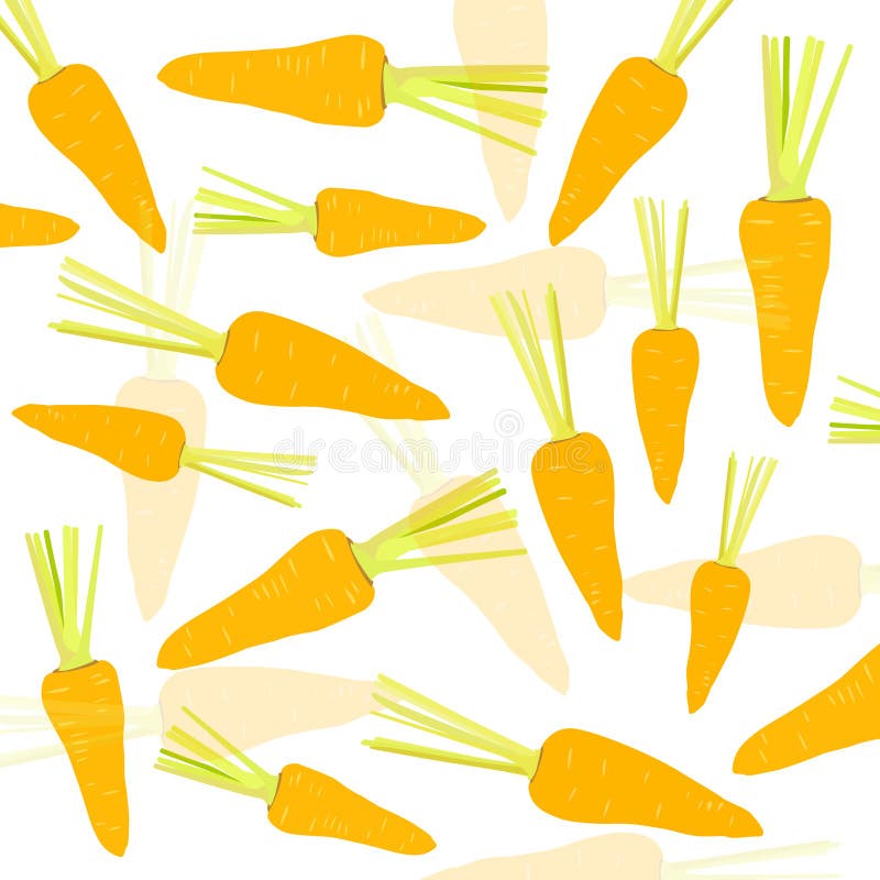 Wortel vectorachtergrond vector illustratie. Illustration of recept ...