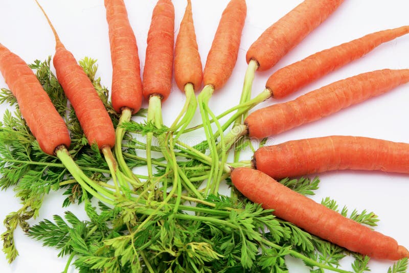 Wortelen stock afbeelding. Image of ingrediënt, opbrengst - 18616597