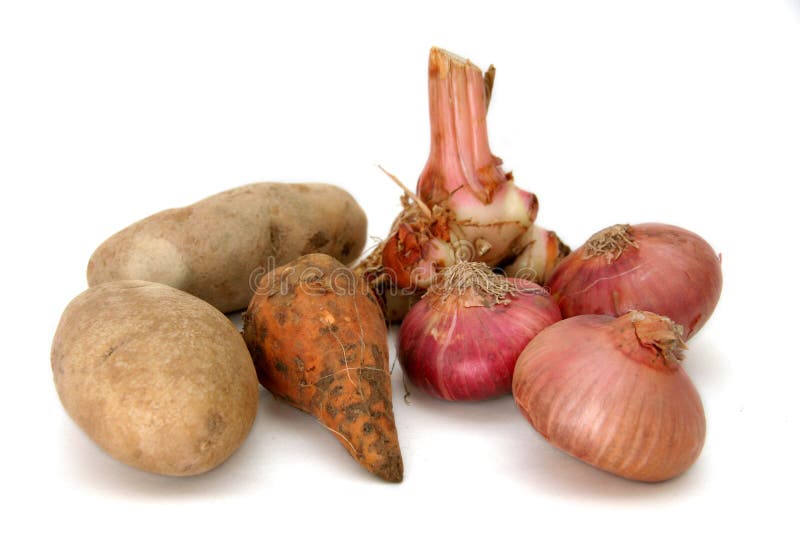Wortels, Knollen En Wortelstokken Stock Afbeelding - Image of voedsel ...