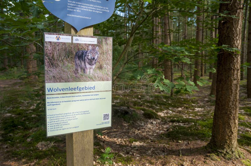 Warning Signs on How To Handle a Wolf Encounter are Placed at the ...