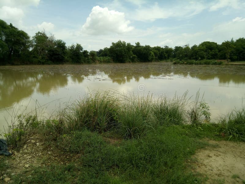 Escy Stock Photos - Free & Royalty-Free Stock Photos from Dreamstime