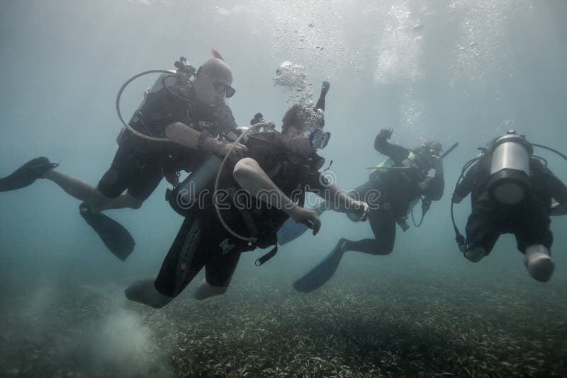 Wounded Warrior Program in Key Largo, FL Editorial Image - Image of ...