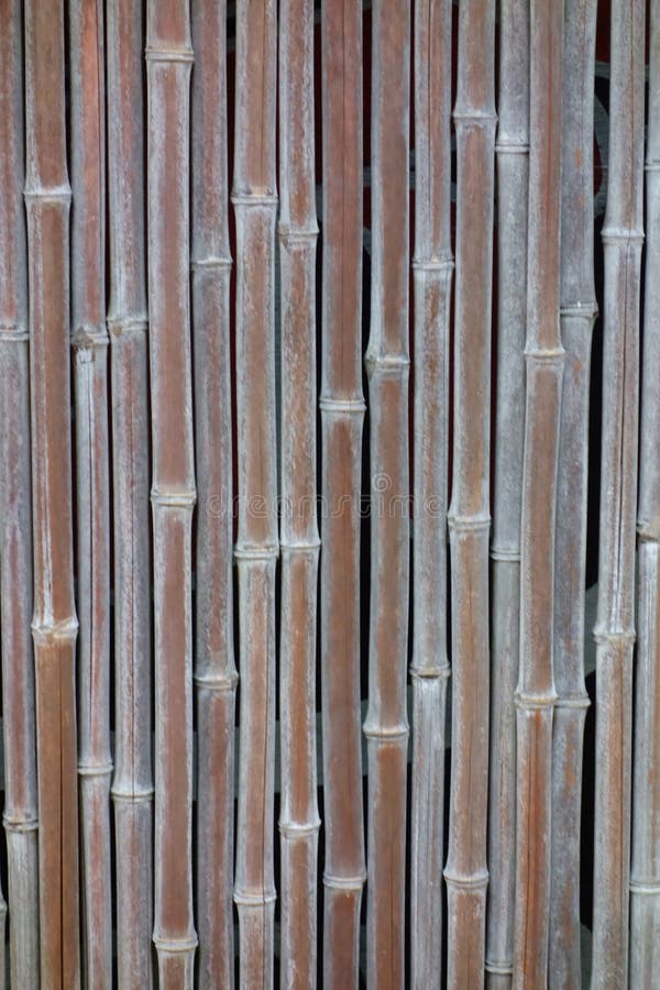 Woven bamboo fence stock photo. Image of green, arrow - 262324422