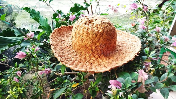 Woven bark hat stock photo. Image of woodland, flower - 261890930