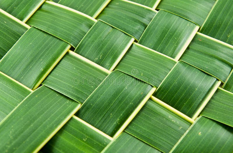 Woven Coconut Leaves Texture Stock Photo - Image of background, fiber ...