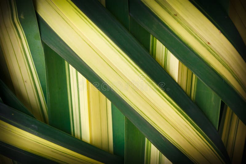 Woven Palm Leaves Mat Texture For Background Stock Photo - Image of ...