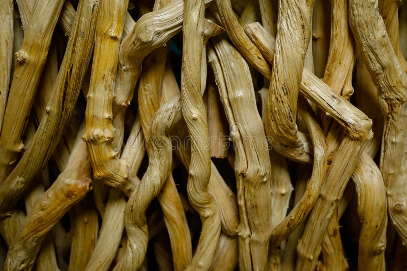 Woven Light Brown Tree Branches. Stock Image - Image of decorative ...