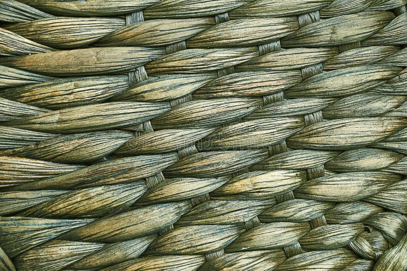 Bast Material Stock Illustrations – 96 Bast Material Stock ...